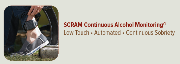 Capture cam image website - SCRAM of California